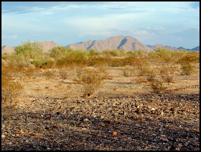 Life's Little Adventures: Holt’s Shell RV Park, Gila Bend, AZ